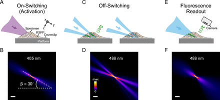 Breaking the diffraction limit of light-sheet fluorescence microscopy ...