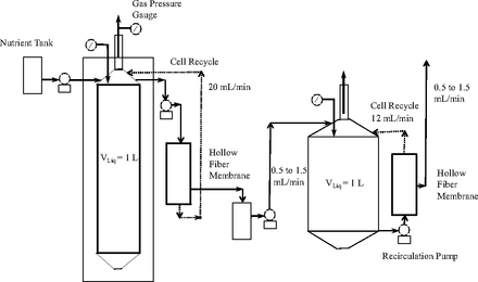 Integrated bioprocess for conversion of gaseous substrates to liquids ...