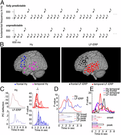 Hierarchy of prediction errors for auditory events in human temporal and frontal cortex ...
