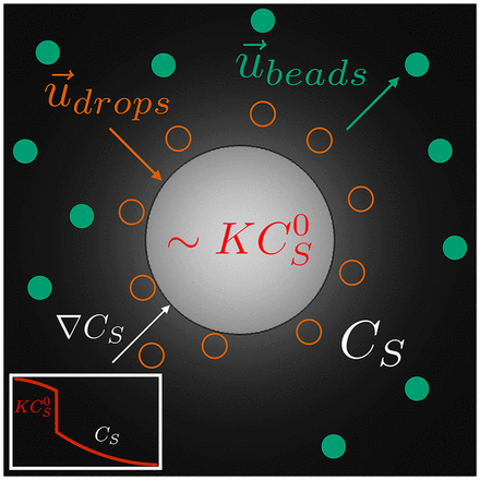 Soluto-inertial phenomena: Designing long-range, long-lasting, surface ...