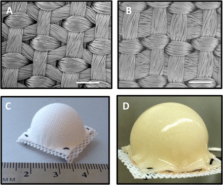 Anatomically shaped tissue-engineered cartilage with tunable and ...