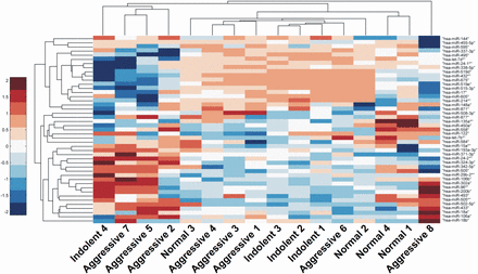 Circulating microRNA signature for the diagnosis of very high-risk ...