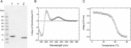 Intracellular mechanisms of molecular recognition and sorting for transport of large ...