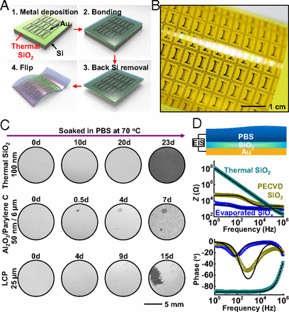 Ultrathin, transferred layers of thermally grown silicon dioxide as ...