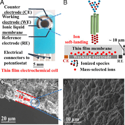 In situ solid-state electrochemistry of mass-selected ions at well ...