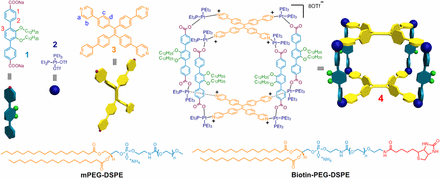 Tetraphenylethene-based highly emissive metallacage as a component of ...