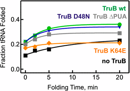 RNA modification enzyme TruB is a tRNA chaperone [Biochemistry],Proceedings of the National ...