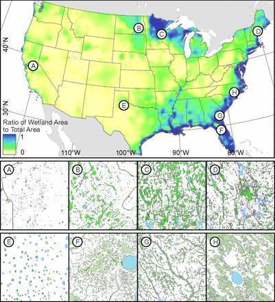 地理上孤立的湿地是否影响景观功能？ [环境科学],Proceedings of the National Academy of ...