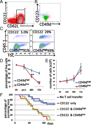 CD8 + CD122 + CD49dlow调节性T细胞通过Fas / FasL介导的细胞毒性杀死被激活的T细胞，从而维持T细胞稳态[免疫学和 ...