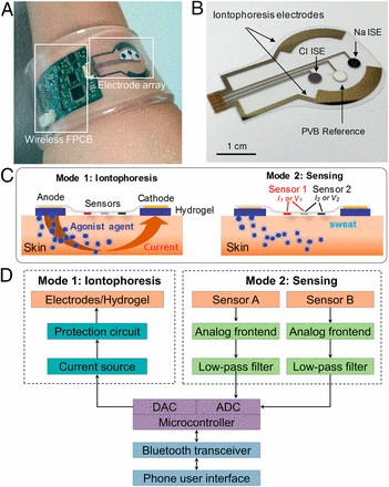 Autonomous sweat extraction and analysis applied to cystic fibrosis and ...