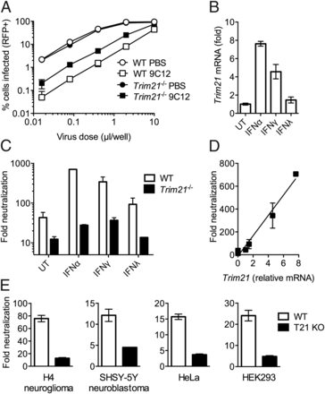 Cytosolic Fc receptor TRIM21 inhibits seeded tau aggregation ...