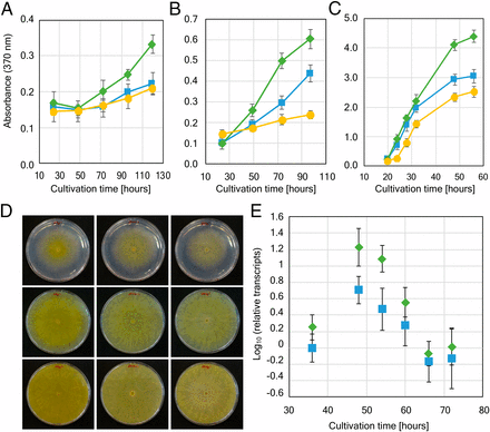 Transcription factor Xpp1 is a switch between primary and secondary fungal metabolism ...