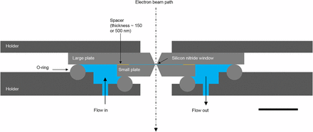 两种类型的无定形蛋白质颗粒促进晶体成核[应用物理科学],Proceedings of the National Academy of ...