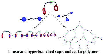 Well-defined supramolecular polymers based on orthogonal hydrogen ...