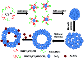 CeO2 hollow nanospheres synthesized by a one pot template-free hydrothermal method and their ...