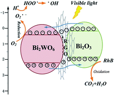 One-step synthesis of Bi2WO6/Bi2O3 loaded reduced graphene oxide ...