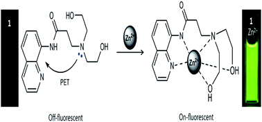A highly selective fluorescent chemosensor based on a quinoline derivative for zinc ions in pure ...