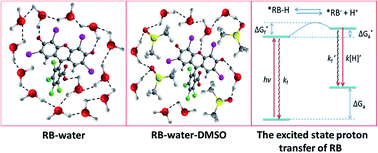 Inhibition of the excited-state Rose Bengal (RB) nonradiative process ...