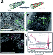 In situ growth of metallic 1T-WS2 nanoislands on single-walled carbon ...