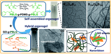 A novel self-assembled hybrid organogel of polypeptide-based block ...