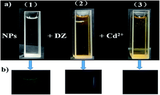 Dithizone-etched CdTe nanoparticles-based fluorescence sensor for the ...