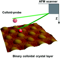 Colloid-probe AFM studies of the surface functionality and adsorbed ...