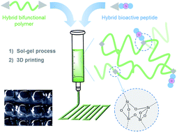Modular bioink for 3D printing of biocompatible hydrogels: sol–gel ...