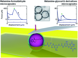 Formaldehyde-free melamine microcapsules as core/shell delivery systems ...