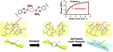 Non-swellable self-healing polymer with long-term stability under ...