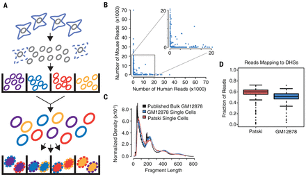 Multiplex single-cell profiling of chromatin accessibility by ...