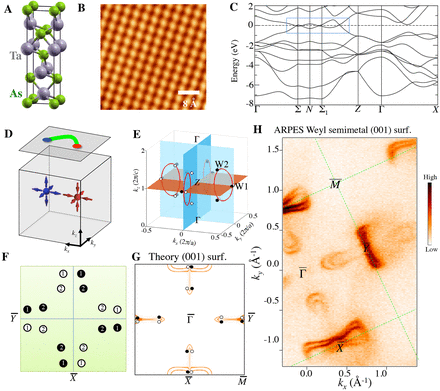 Discovery of a Weyl fermion semimetal and topological Fermi arcs ...