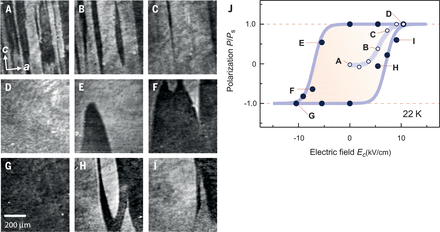 多铁性 TbMnO3 中的磁电畴控制,Science - X-MOL