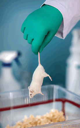 Precision medicine: Look to the mice,Science - X-MOL
