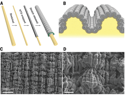 Hierarchically buckled sheath-core fibers for superelastic electronics ...