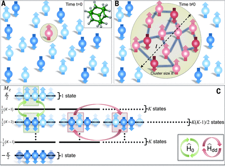 Localization-delocalization transition in the dynamics of dipolar ...