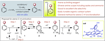 Site-selective arene C-H amination via photoredox catalysis,Science - X-MOL