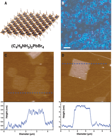 Atomically thin two-dimensional organic-inorganic hybrid perovskites ...