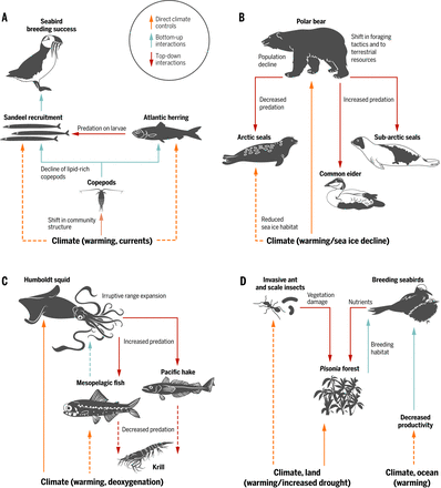 Climate change and marine vertebrates,Science - X-MOL