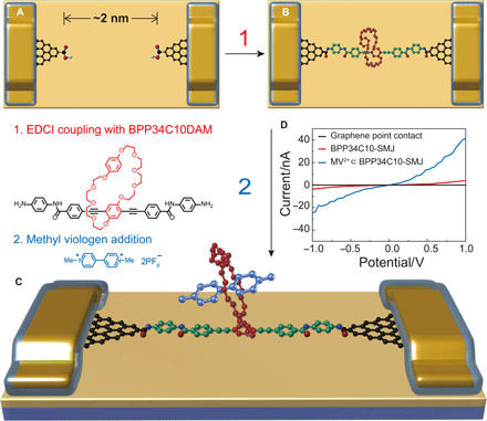 Complex formation dynamics in a single-molecule electronic device ...