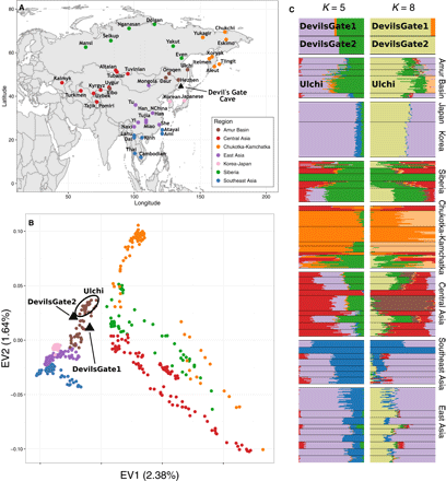 Genome-wide data from two early Neolithic East Asian individuals dating ...