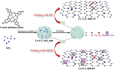 High performance of a cobalt-nitrogen complex for the reduction and ...