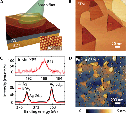 Self-assembly of electronically abrupt borophene/organic lateral ...