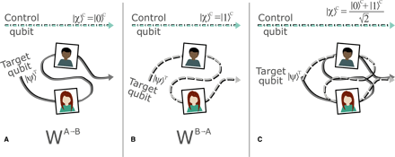 Experimental verification of an indefinite causal order.,Science ...