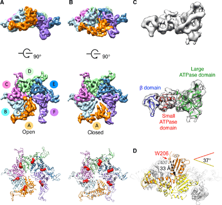 Mechanism of Vps4 hexamer function revealed by cryo-EM.,Science ...