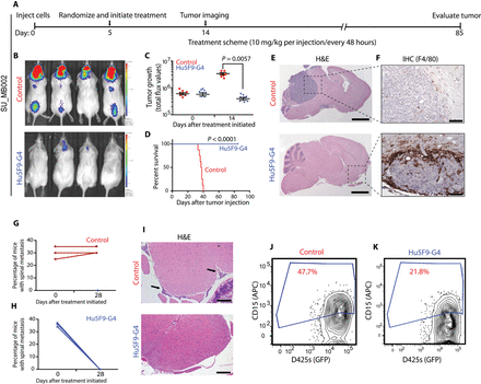 Disrupting the CD47-SIRPα anti-phagocytic axis by a humanized anti-CD47 ...