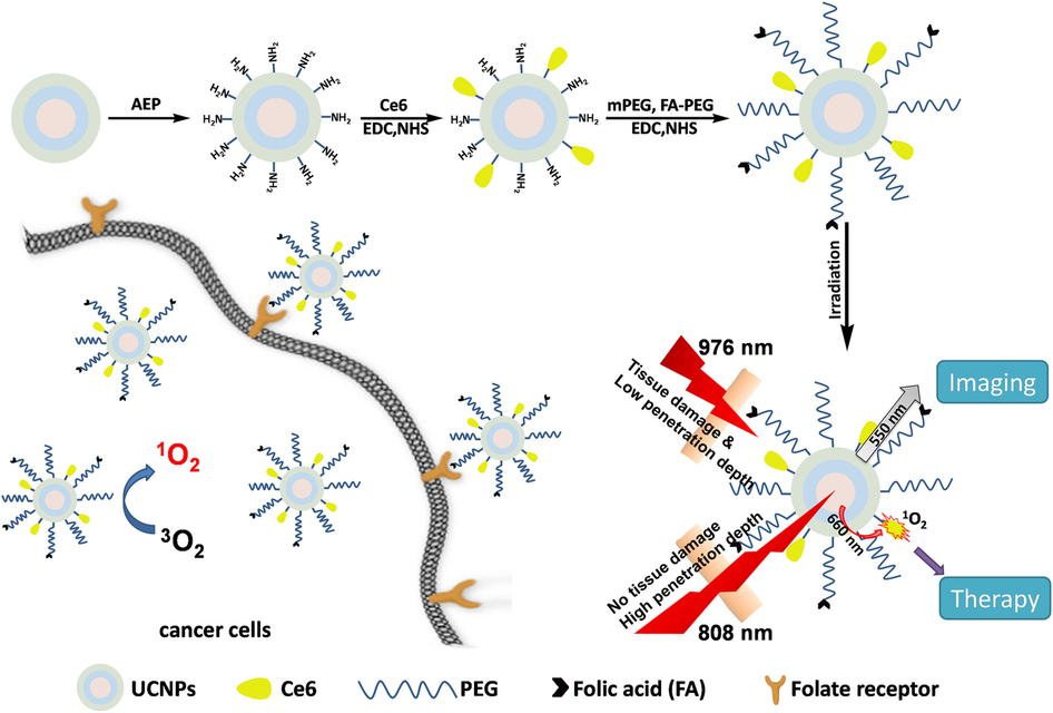A core-shell-shell nanoplatform upconverting near-infrared light at 808 nm for luminescence ...