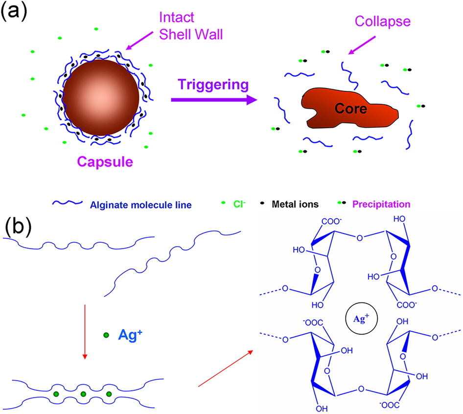 A novel capsule-based self-recovery system with a chloride ion trigger ...