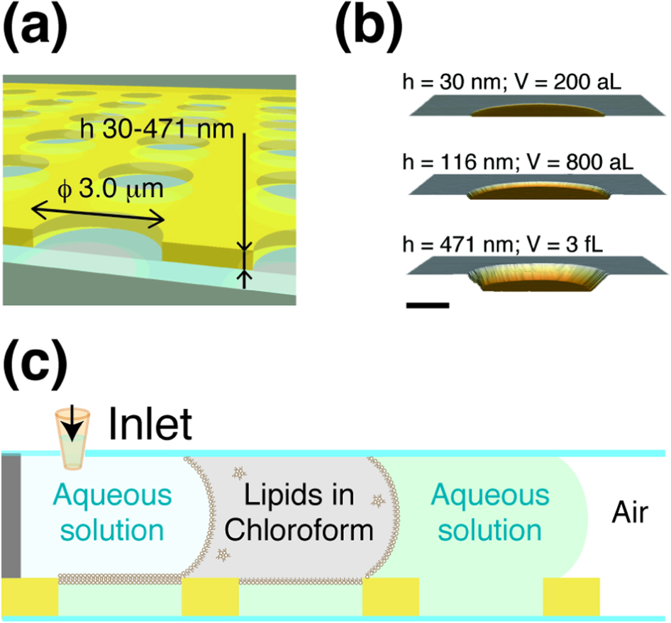 Attolitre-sized lipid bilayer chamber array for rapid detection of ...