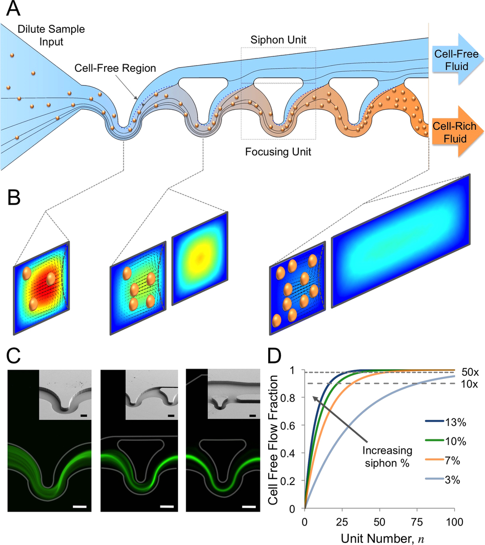 Continuous Flow Microfluidic Bioparticle Concentrator.,Scientific ...