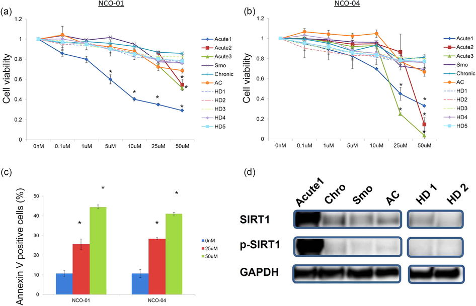 Novel small-molecule SIRT1 inhibitors induce cell death in adult T-cell leukaemia cells ...